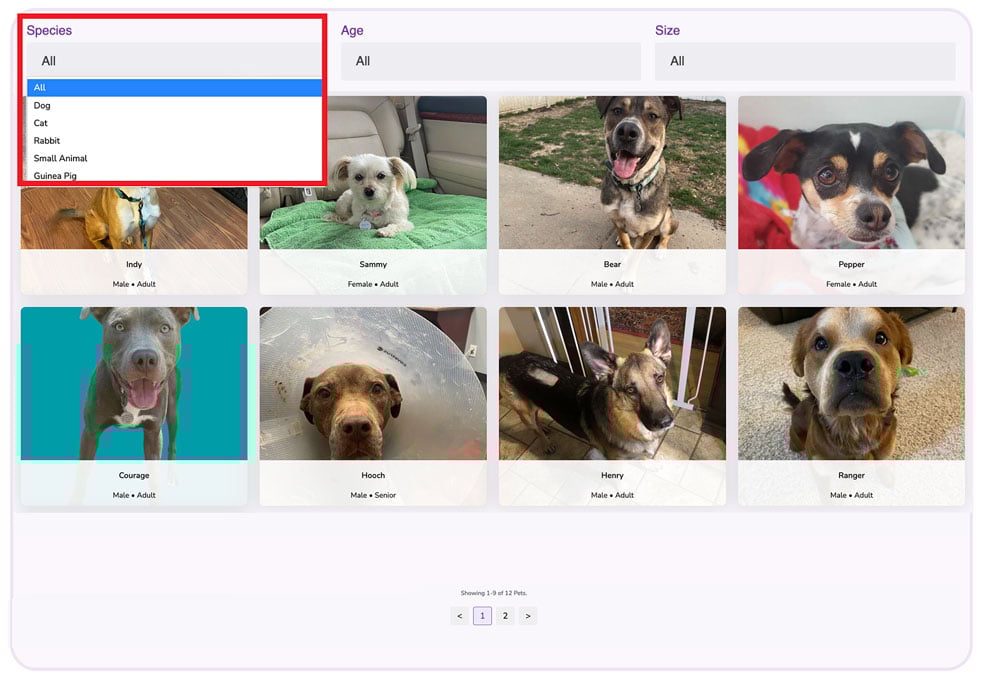 Pawlytics Pet Listing Widget FAQ