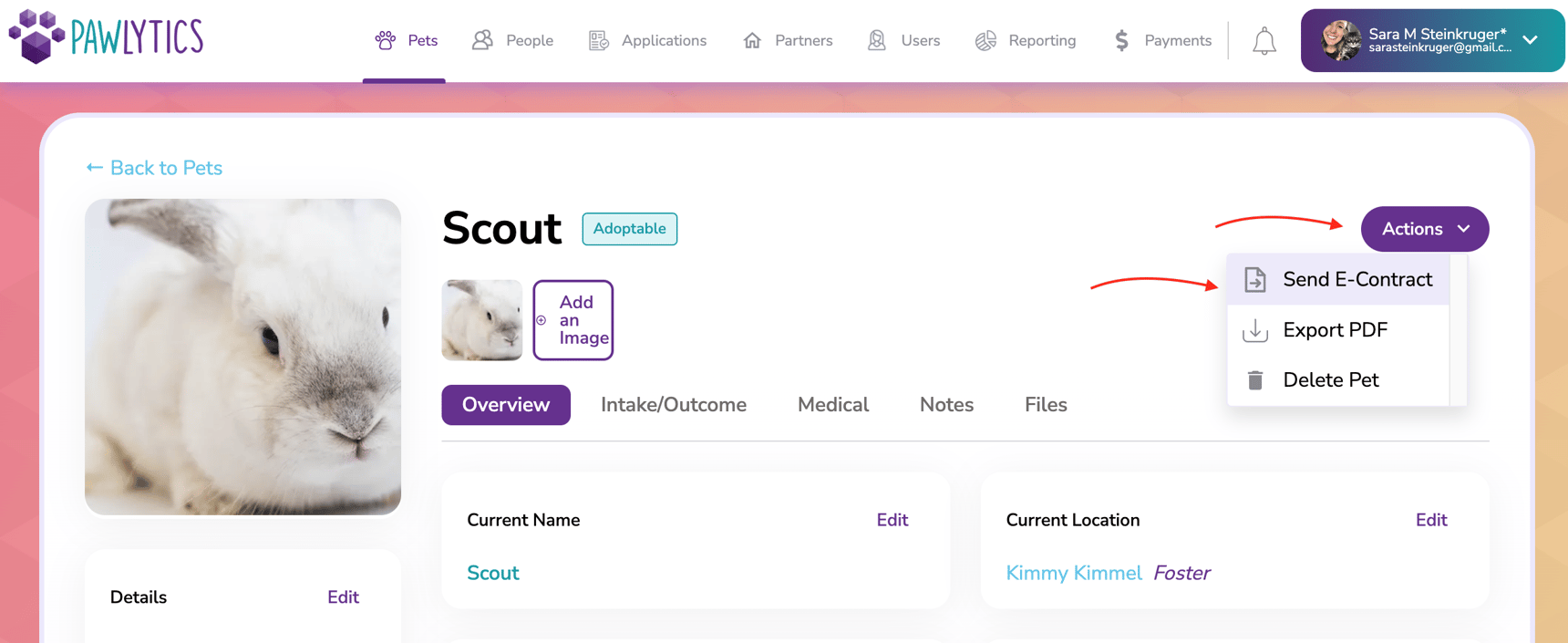 How to send e-contracts in Pawlytics