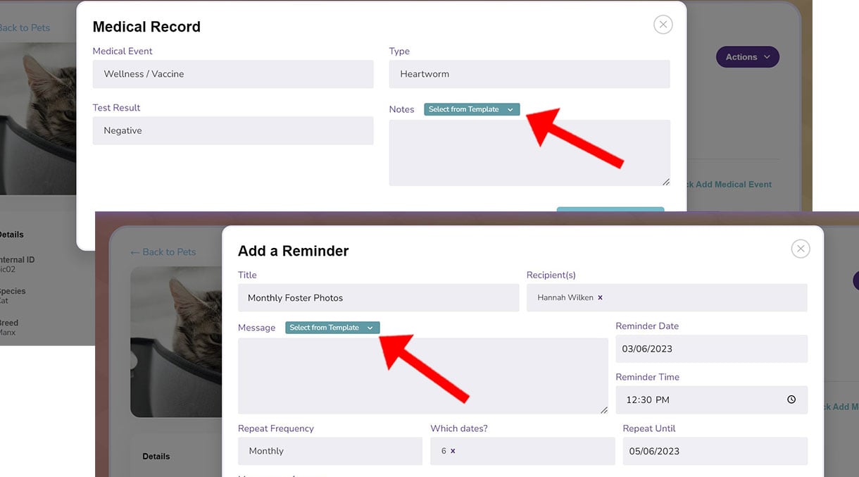 How to use text templates